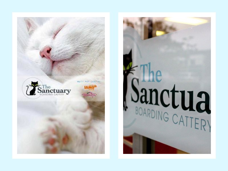 The Sanctuary Boarding Cattery