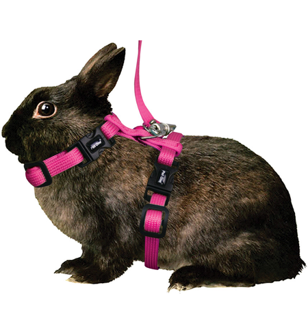 Pet One Small Animal Harness and Lead - Pink - Small Pet : The Pet ...