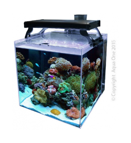 Aqua One Nano Reef 35lt Marine Aquarium - Fish : The Pet Centre - Aqua ...